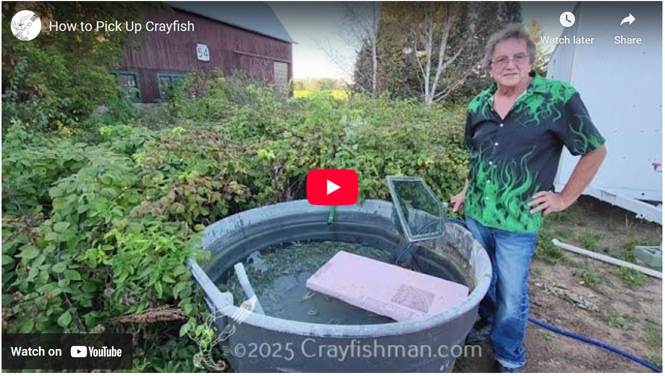 How to Pick Up Crayfish - Crayfishman.com